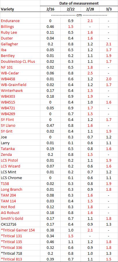 First hollow stem update – Chickasha 3/4/17 | WORLD OF WHEAT
