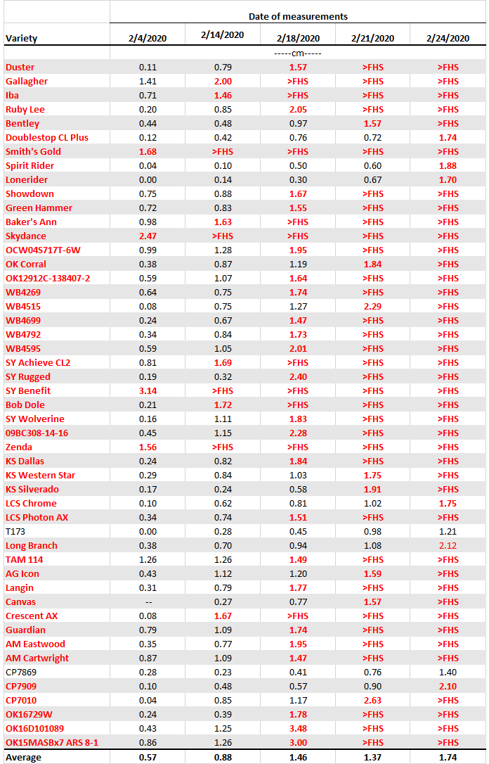 First Hollow Stem update – 2/26/2020 | WORLD OF WHEAT