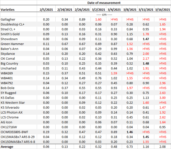 First Hollow Stem Update – 3/17/2021 | WORLD OF WHEAT