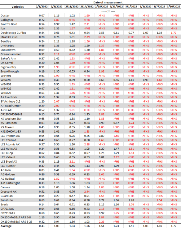 First Hollow Stem Update – 3/10/2022 | WORLD OF WHEAT