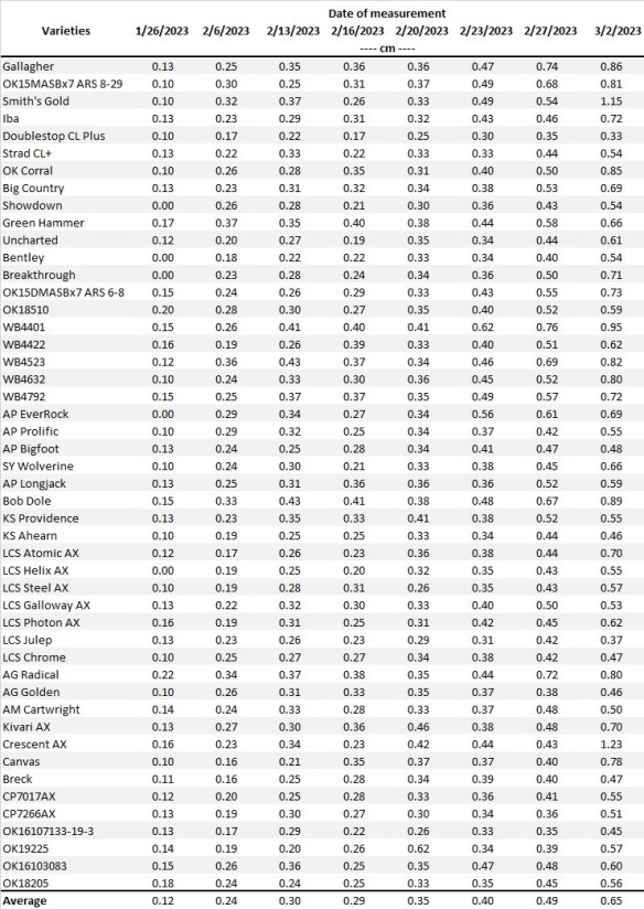 First Hollow Stem Update – 3/3/2023 | WORLD OF WHEAT
