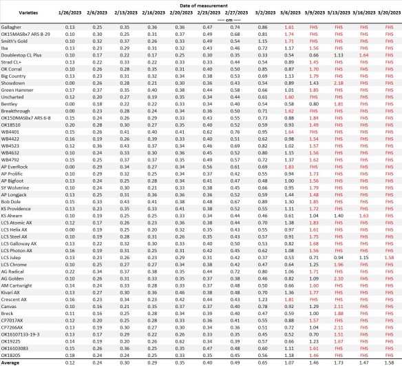 First Hollow Stem Update – 3/20/2023 | WORLD OF WHEAT