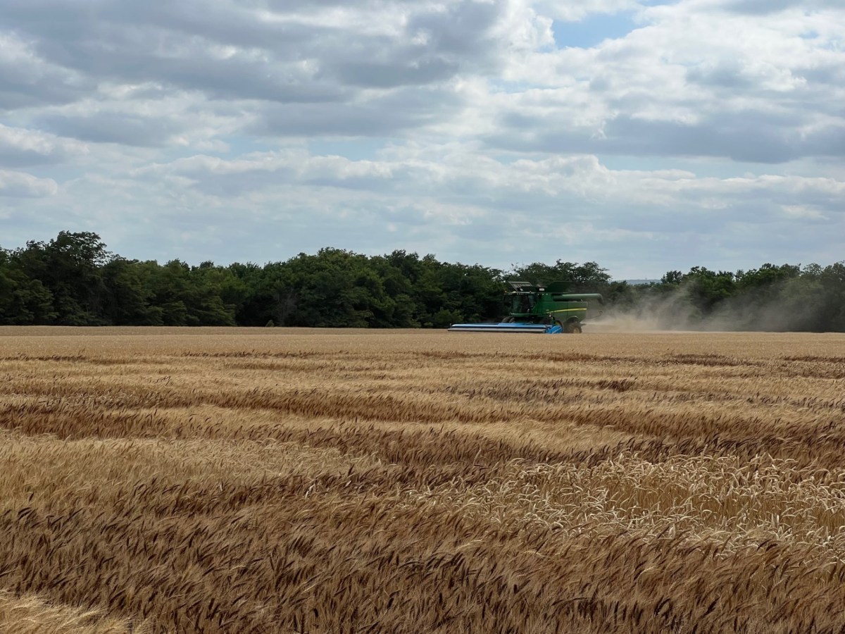 Oklahoma Wheat Harvest Nearing Completion in Several Areas | WORLD OF WHEAT